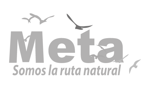 Inicio - Media Maratón del Meta